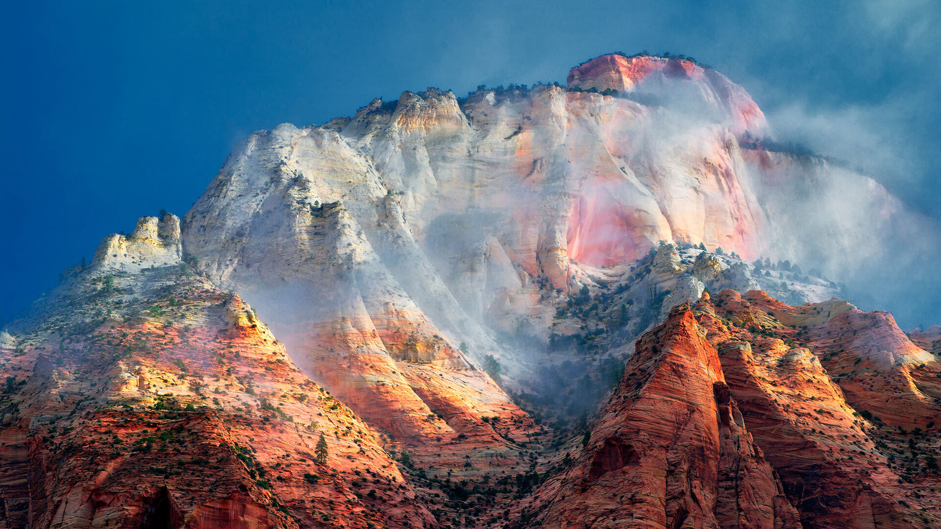 Overview of Zion – LaFave